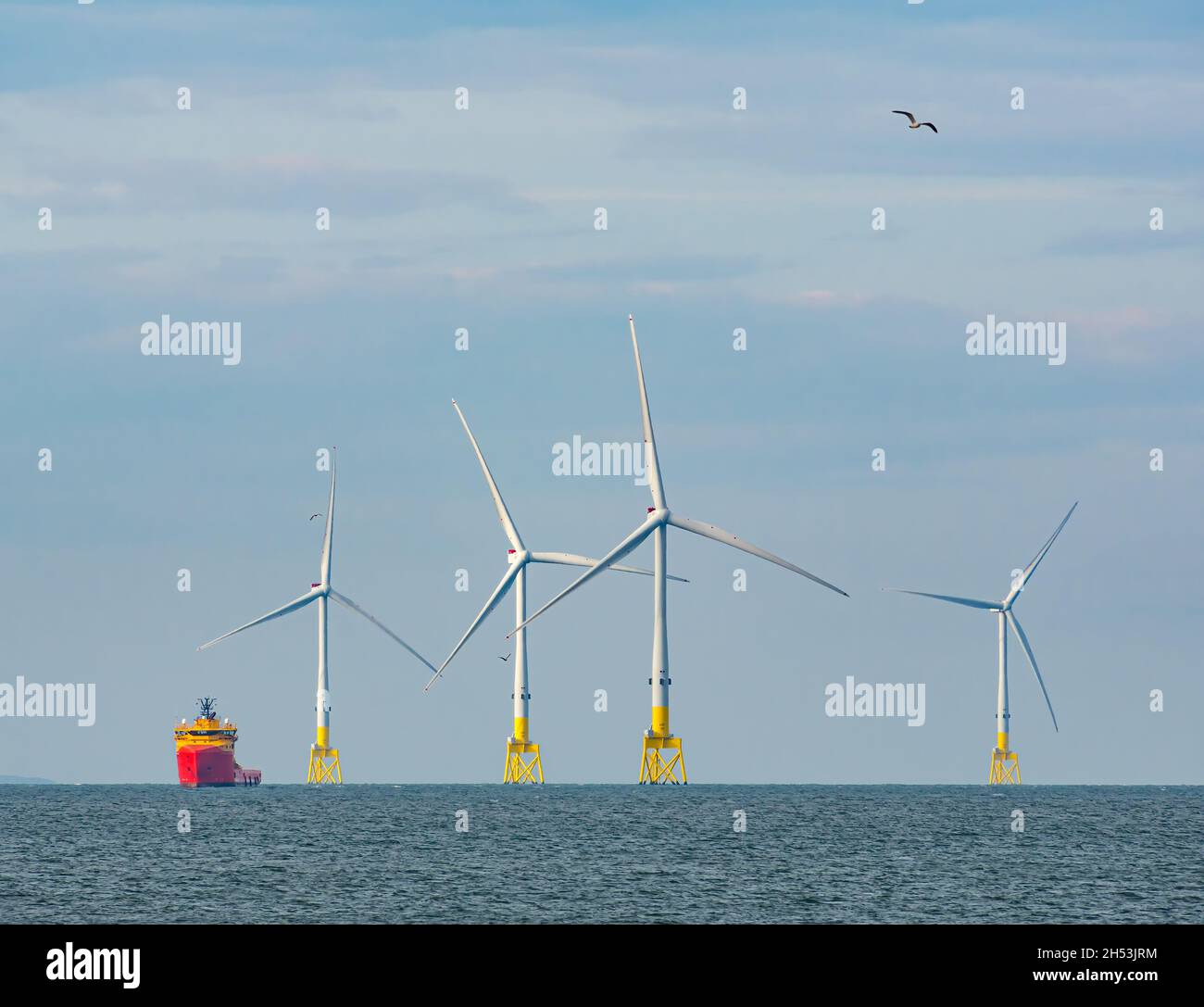 Offshore supply ships anchored by wind turbines in offshore wind farm ...