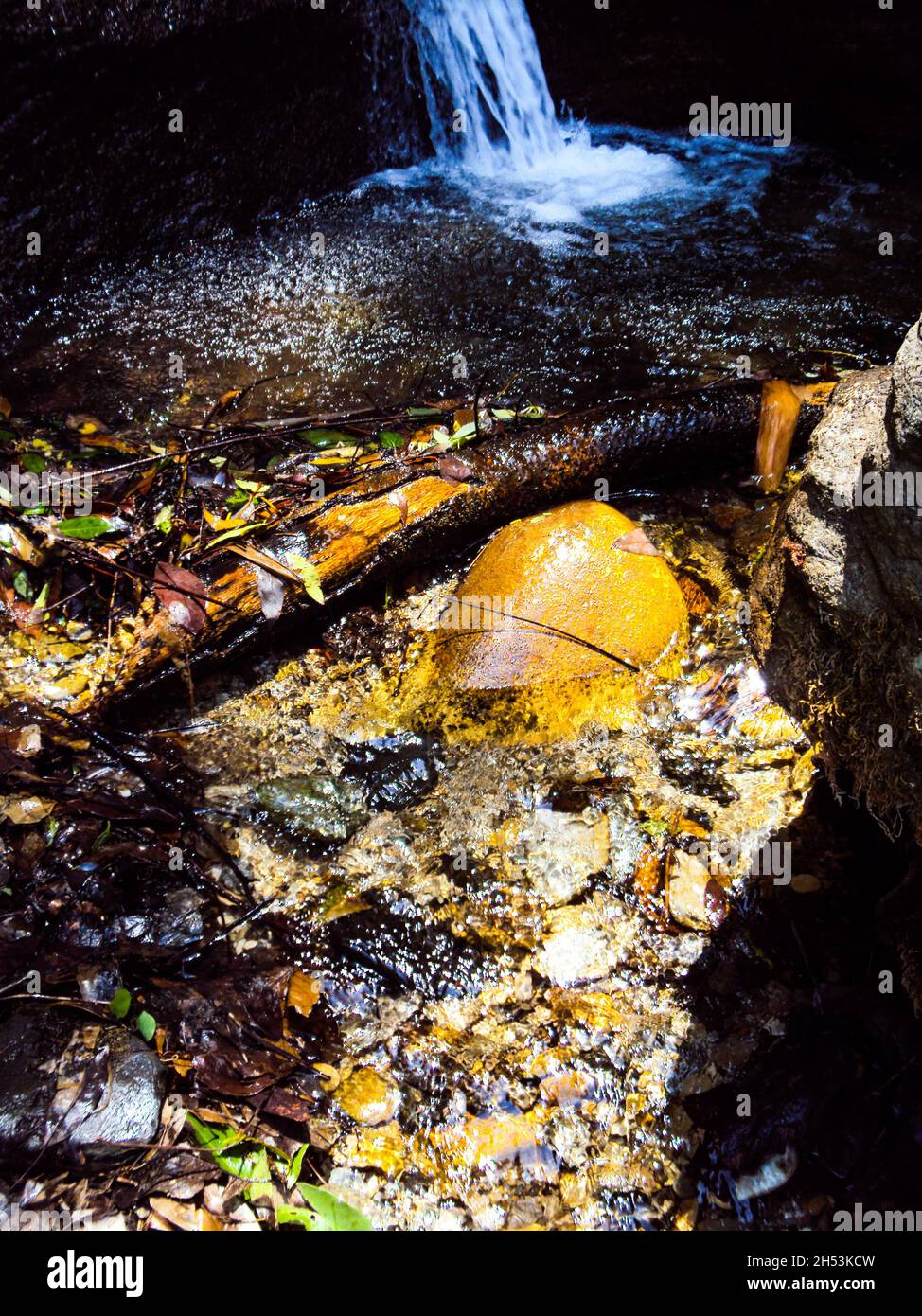 Golden Stone under the running water stream Stock Photo - Alamy