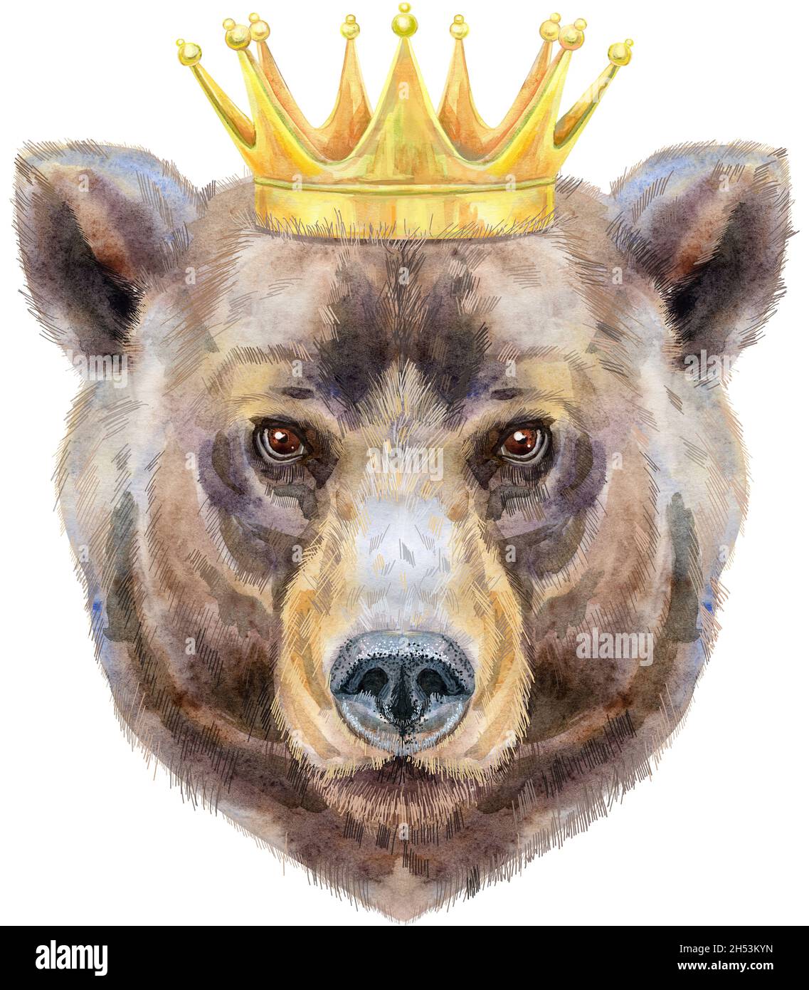 Bear portrait. Watercolor brown bear in gold crown painting ...