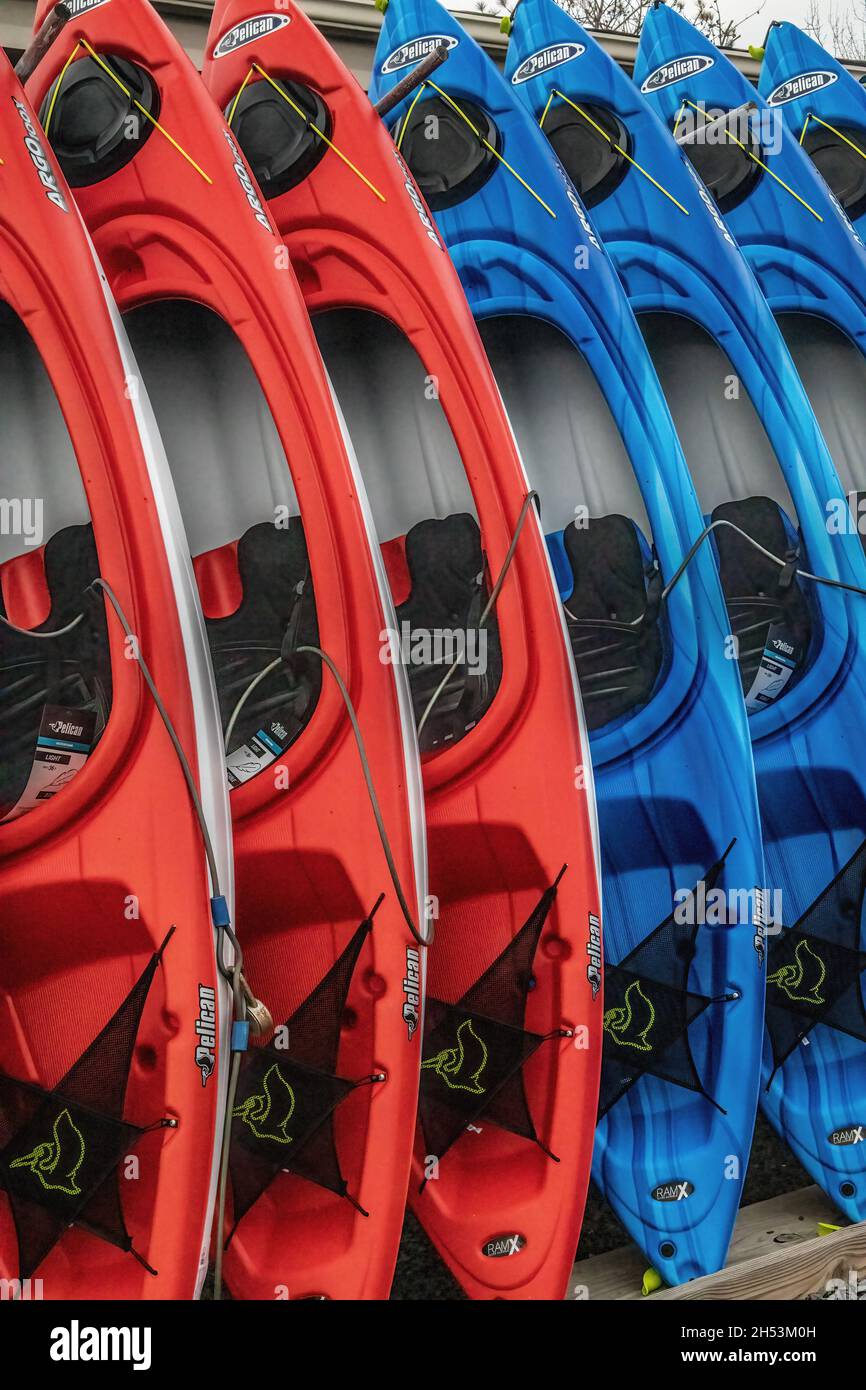 Row of red and blue kayaks lined up for paddling on the river Stock ...