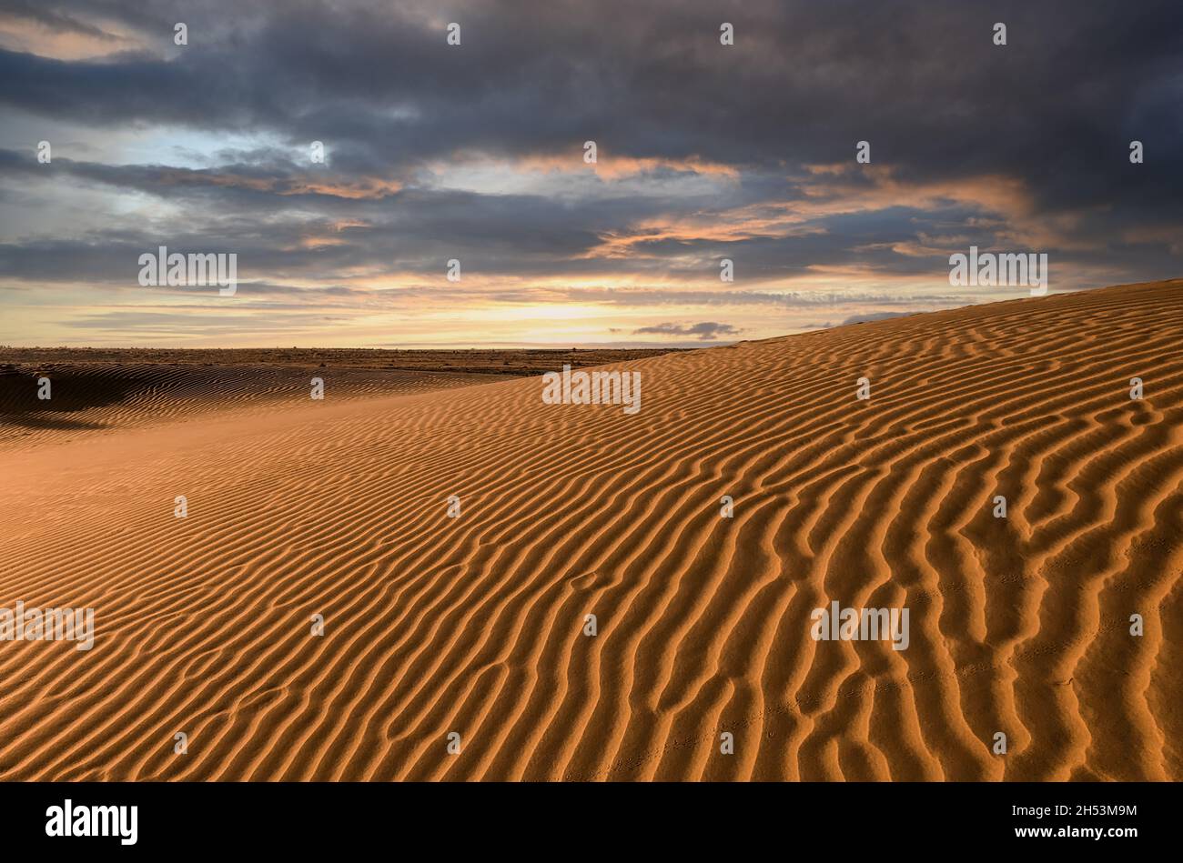 Wahiba sand dunes in the Oman Stock Photo - Alamy