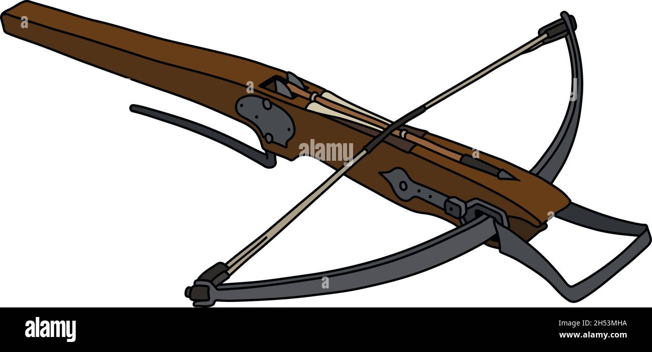 The vectorized hand drawing of a historical wooden crossbow Stock ...