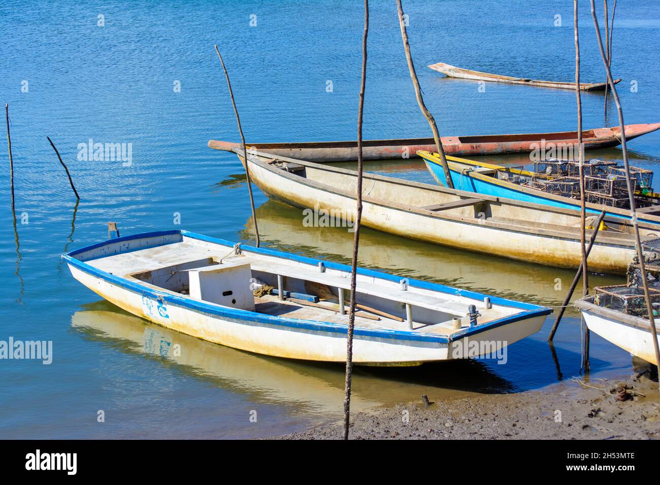 Canoes and boats docked on the bank of the grand Paraguacu river ...