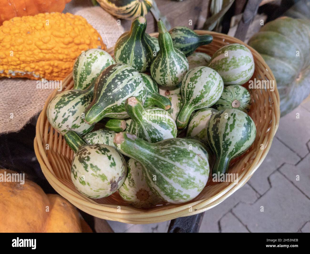 Closeup shot pile pumpkins hi-res stock photography and images - Alamy