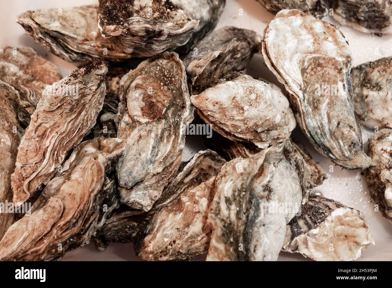 Healthy market dish hi-res stock photography and images - Alamy