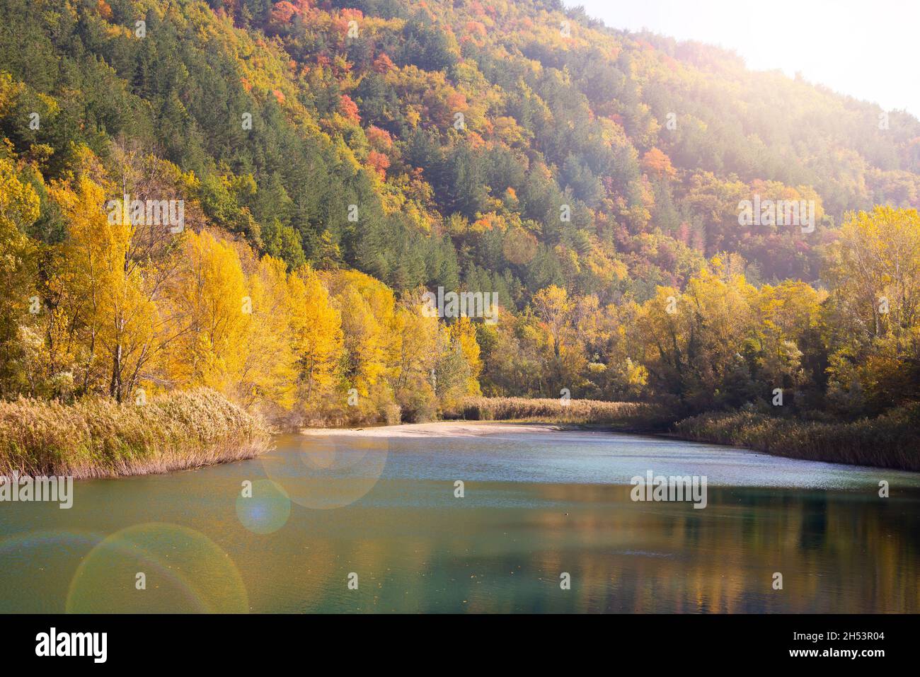 Colorful river and trees hi-res stock photography and images - Alamy