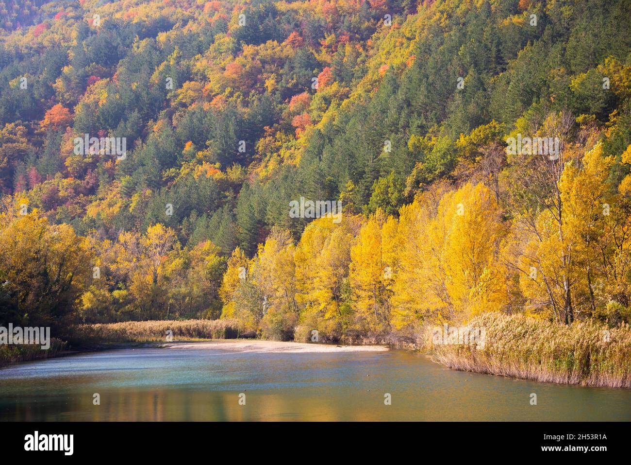 Colorful river and trees hi-res stock photography and images - Alamy
