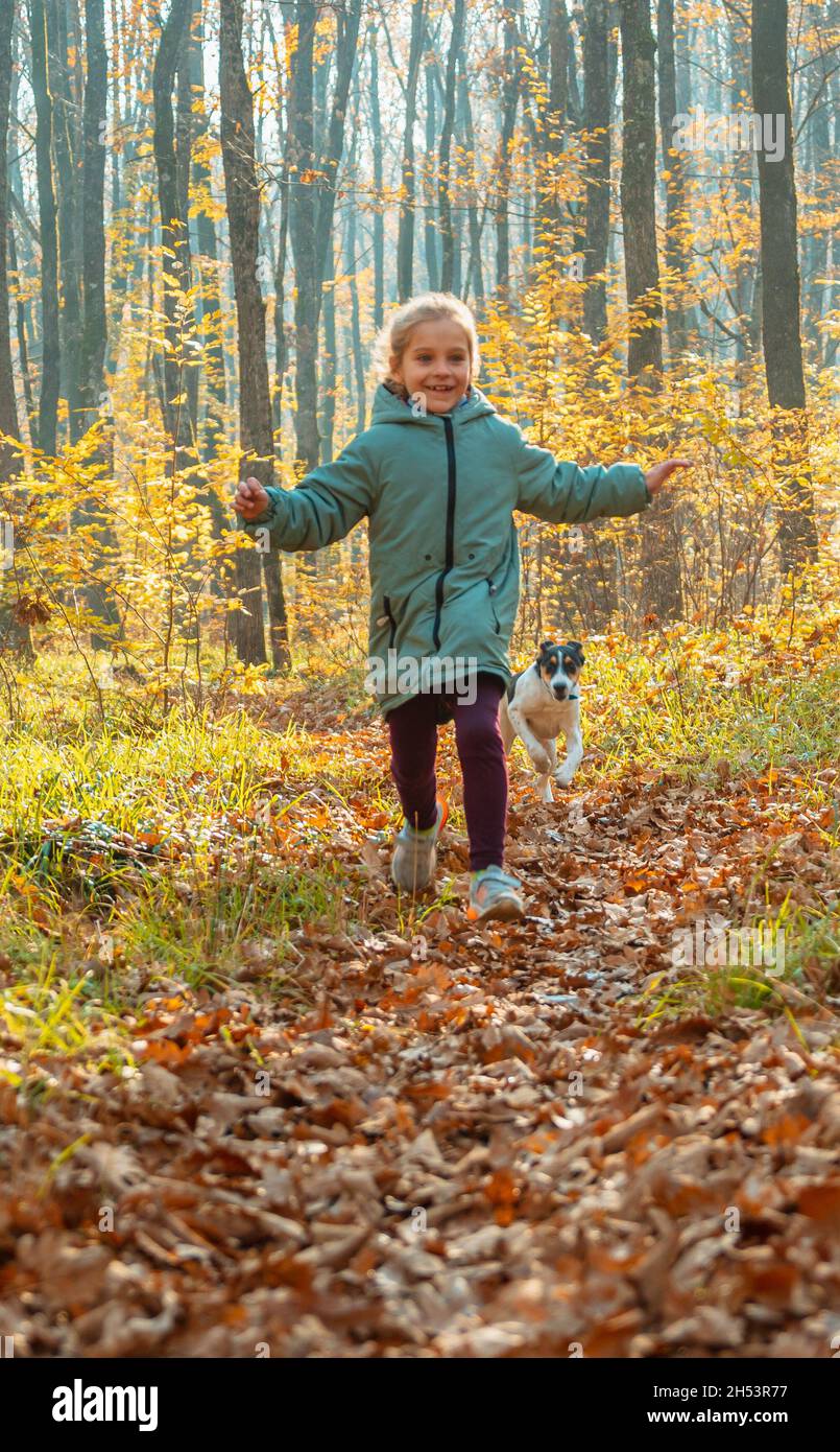 Feet tree hi-res stock photography and images - Alamy