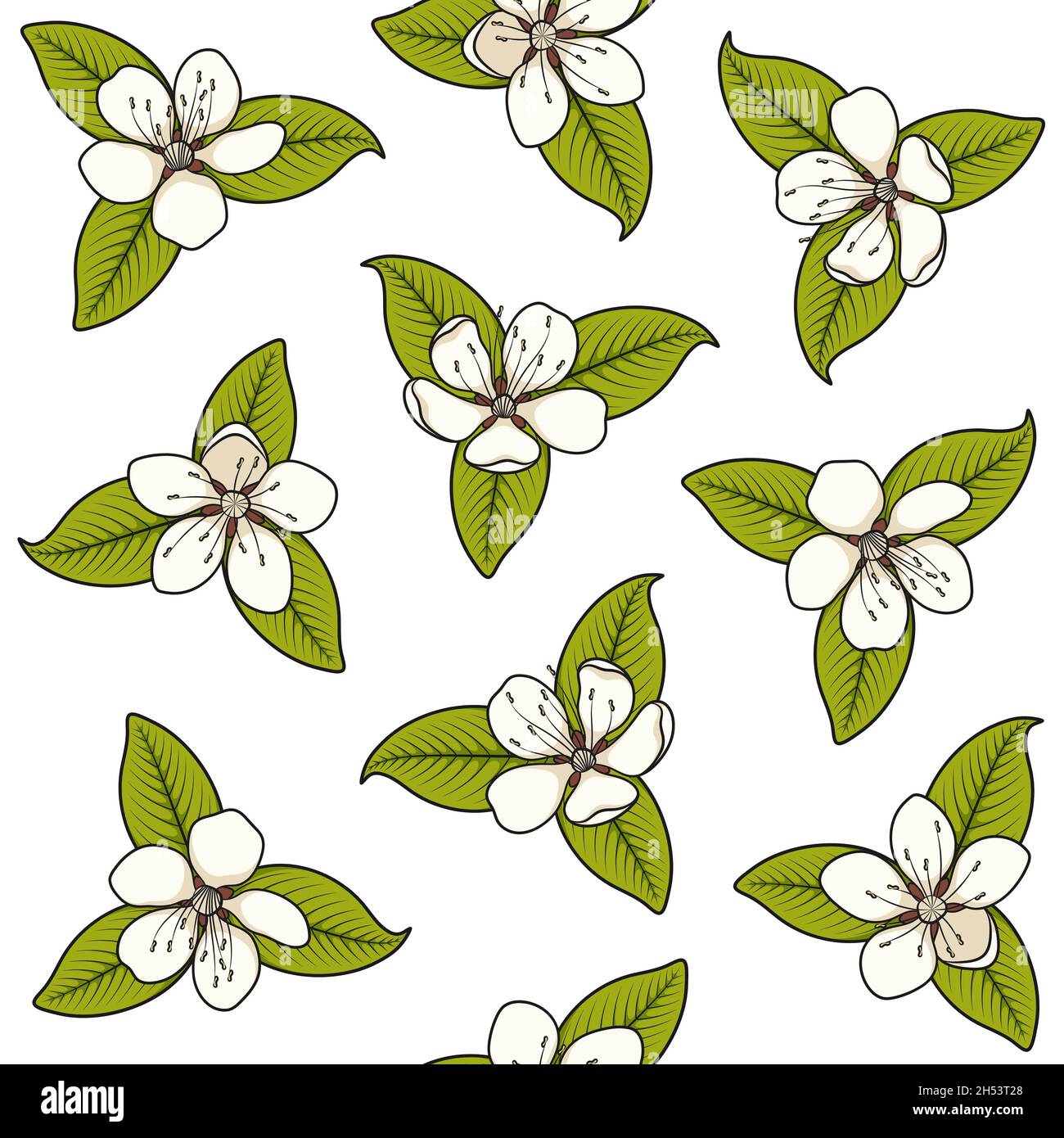 Seamless pattern with white spring flowers. Color vector illustration ...
