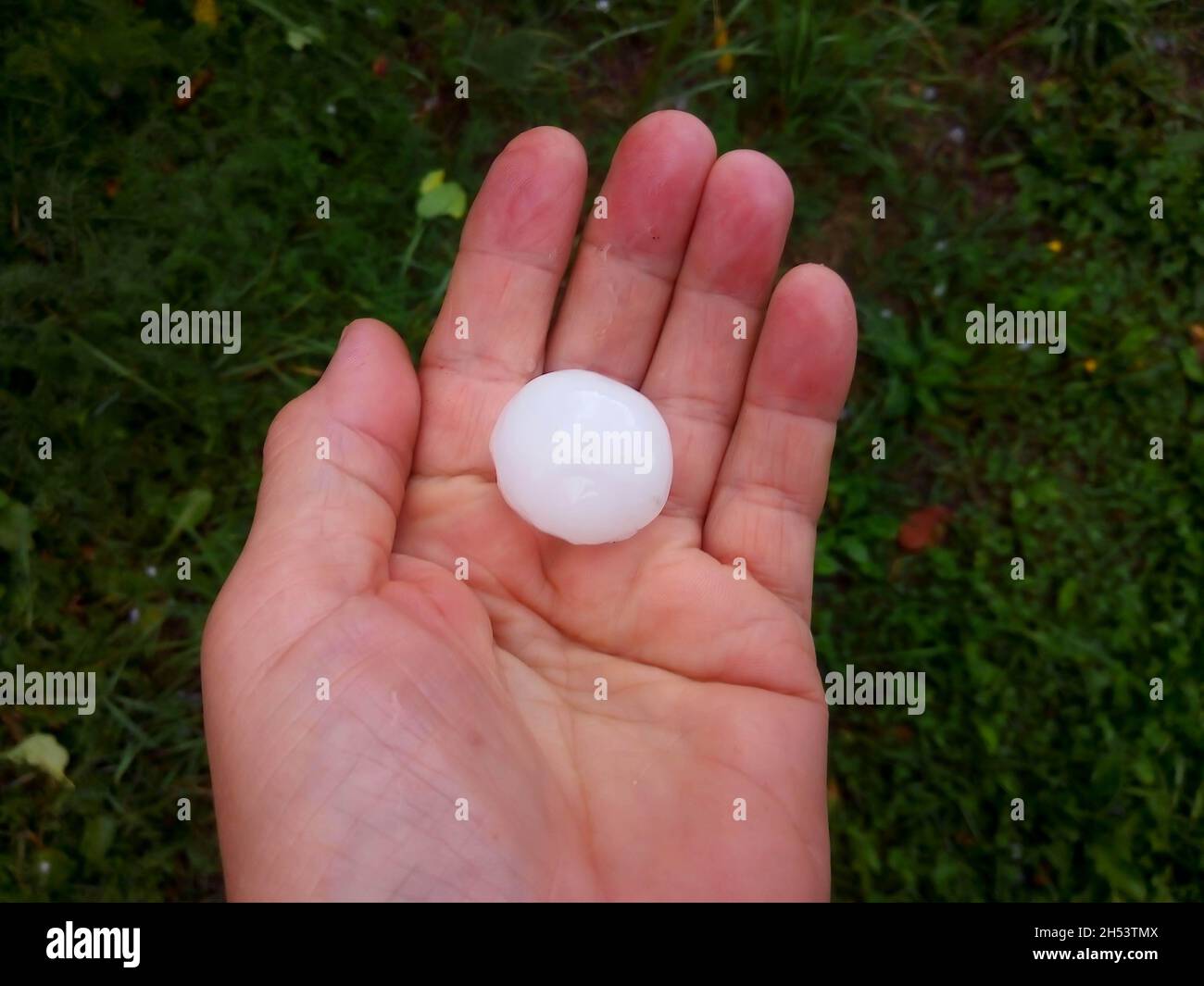 A large hailstone in your hand after a summer hurricane Stock Photo - Alamy