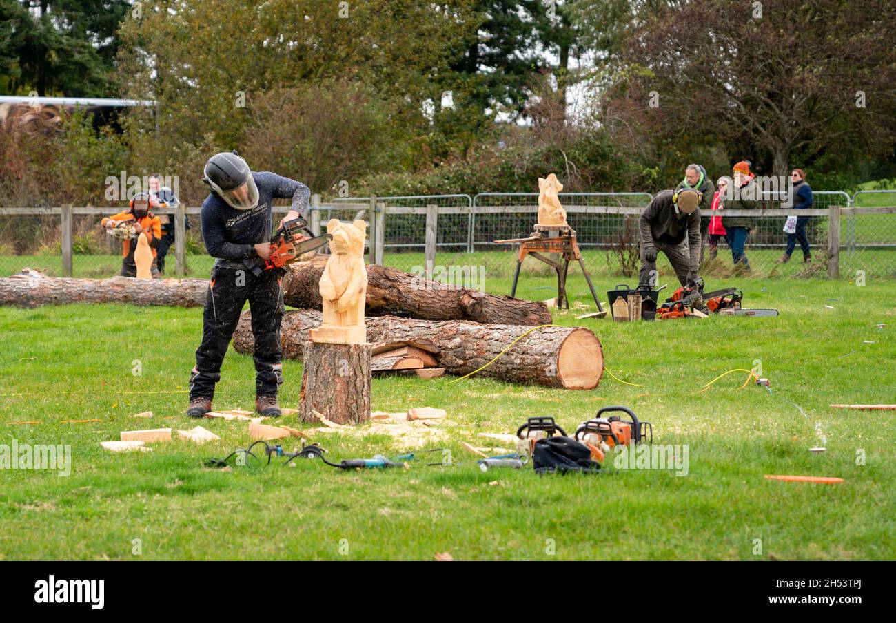 Wood Carvers in action with chainsaws at the Berkshire Craft, Food ...