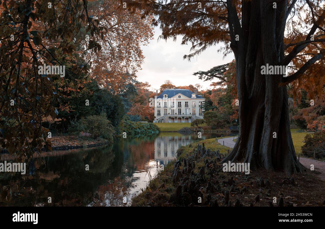 Arboretum of Wolves valley during the autumn - Chatenay Malabry, France ...