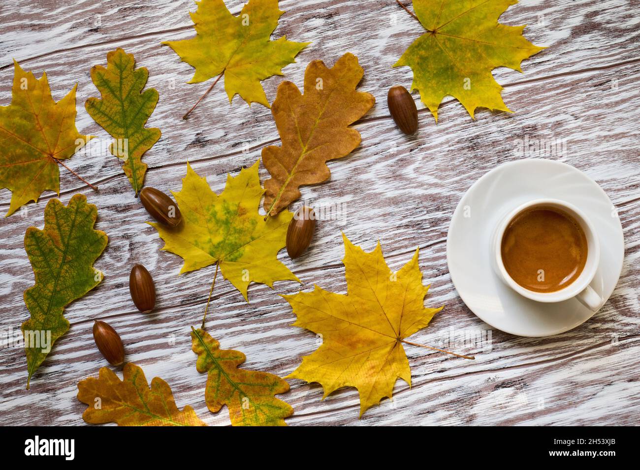 Coffee break concept in autumn morning, close up Stock Photo - Alamy
