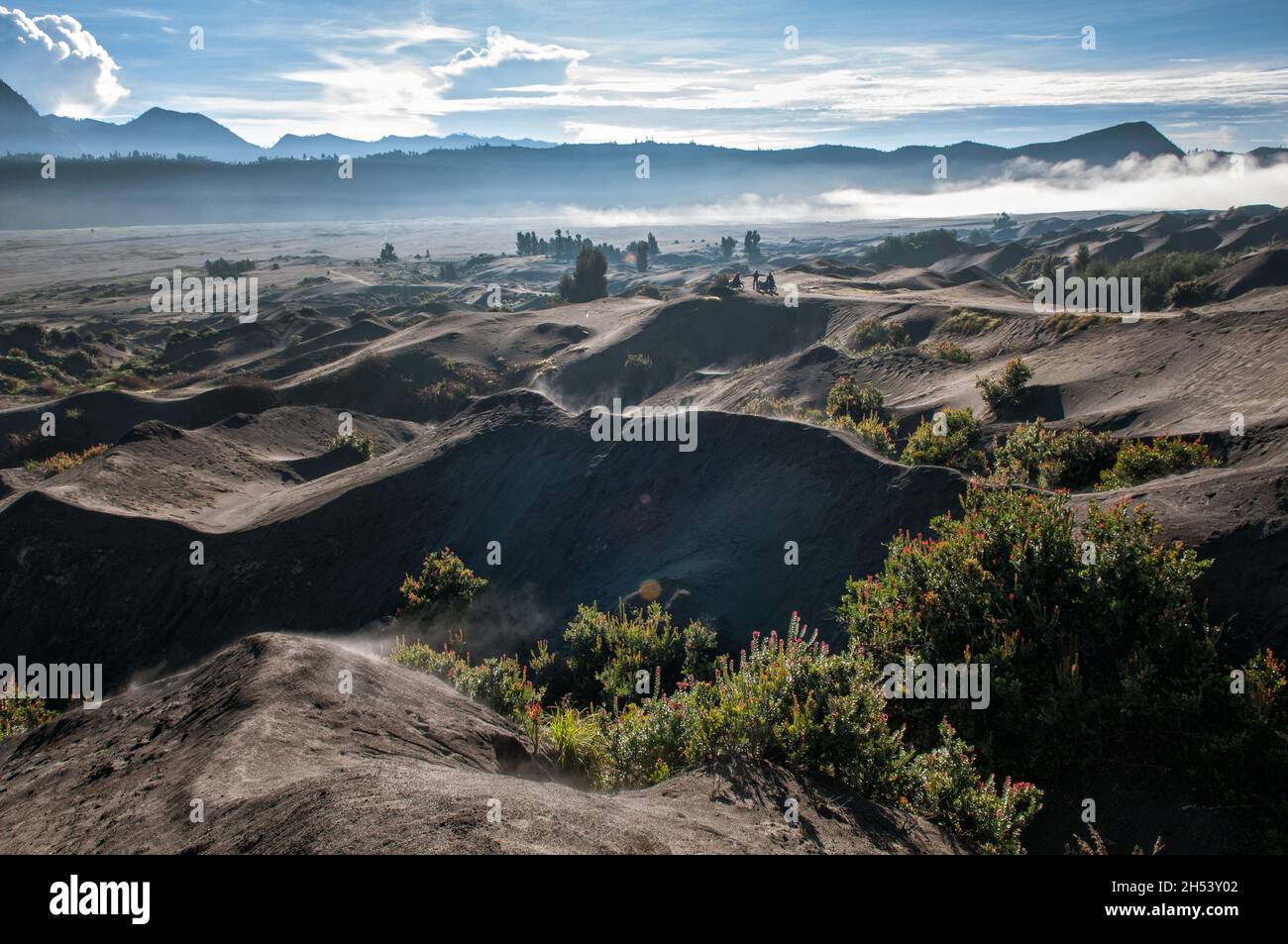 Base of Mount Bromo volcano in the Tengger caldera, East Java ...