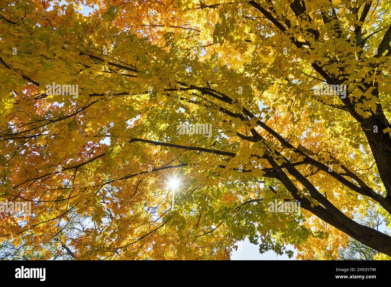 Dankwardt park hi-res stock photography and images - Alamy