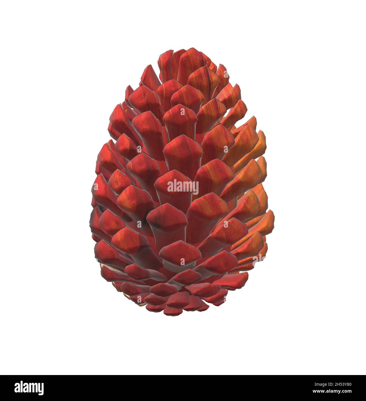 Red pine cone Stock Vector Images - Alamy