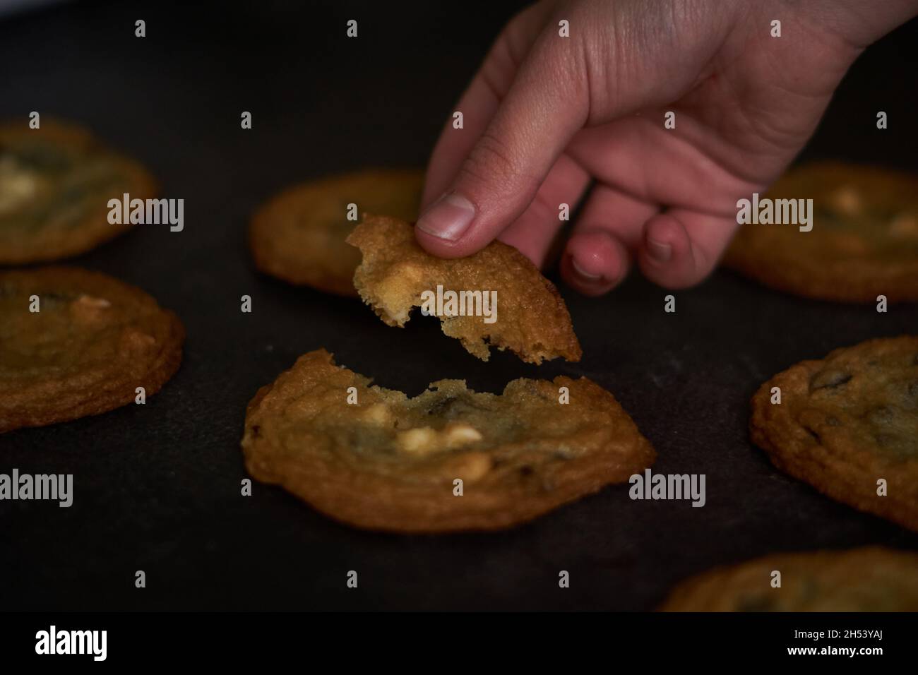 Closeup shot of a hand taking a piece of chocolate chips cookies from a ...