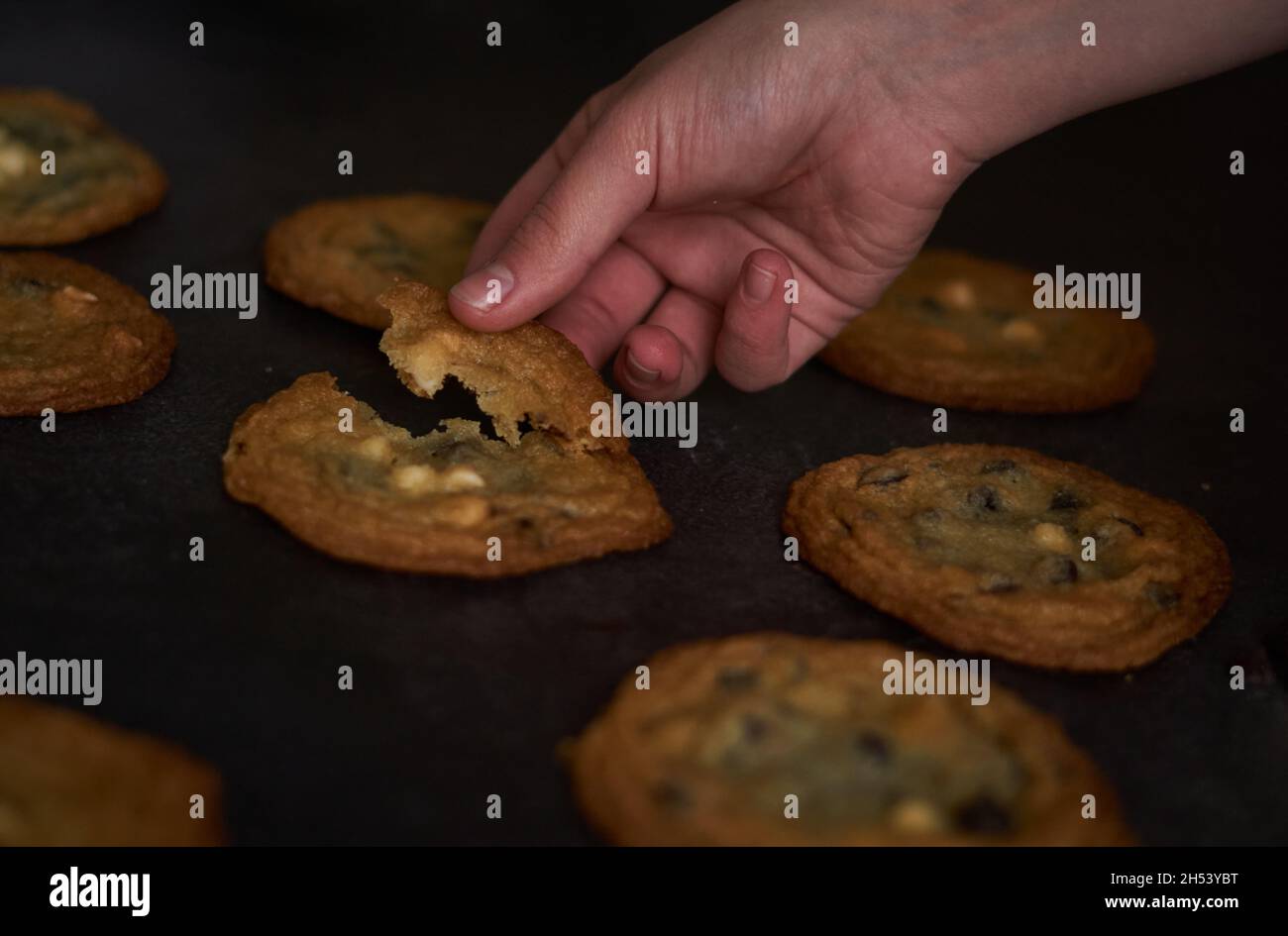 Closeup shot of a hand taking a piece of chocolate chips cookies from a ...