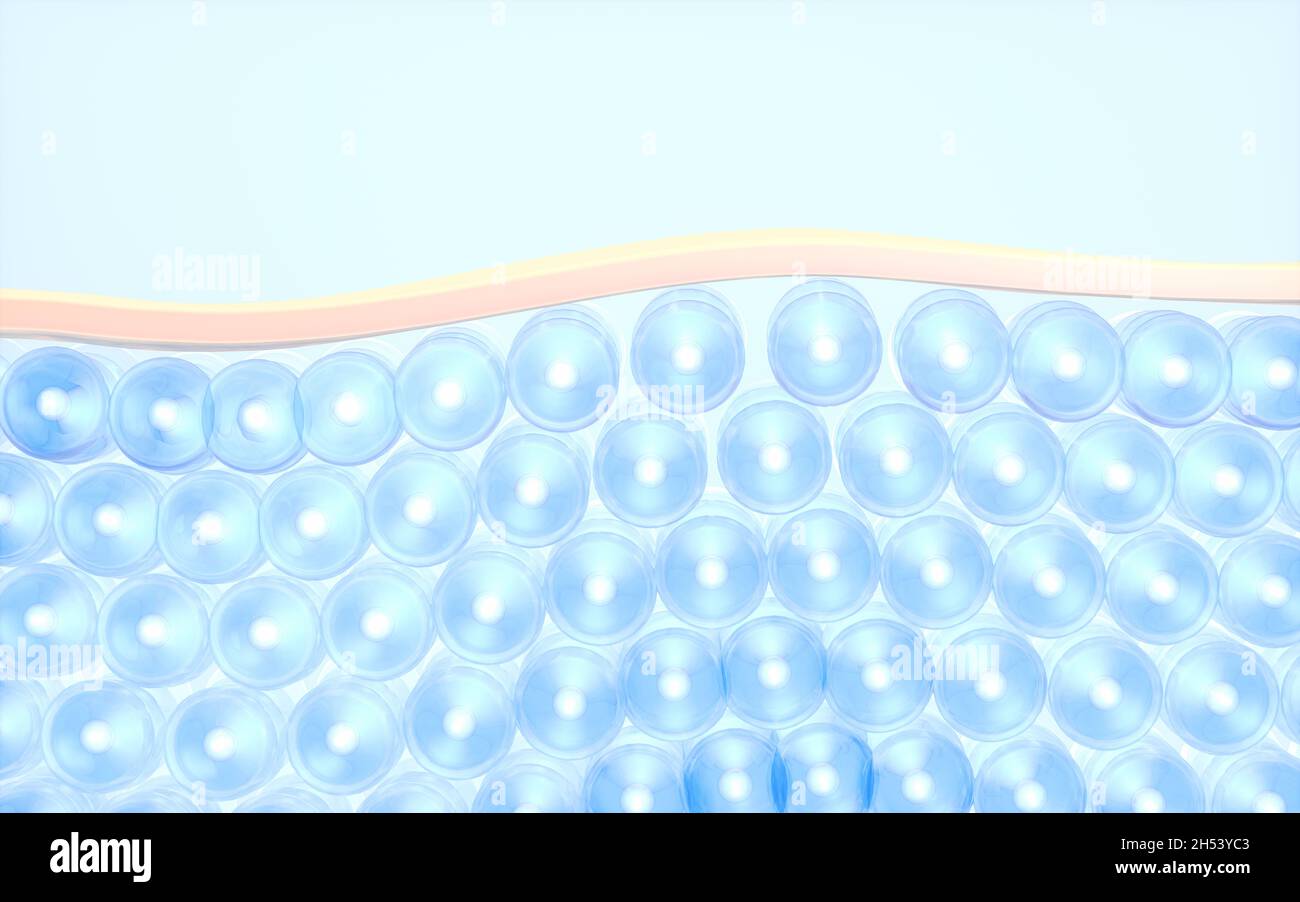 Layers of skin drawing hi-res stock photography and images - Alamy