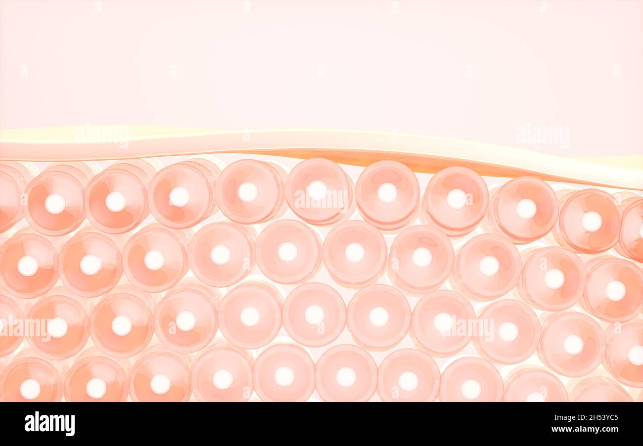 Cells and skin, 3d rendering. Computer digital drawing Stock Photo - Alamy