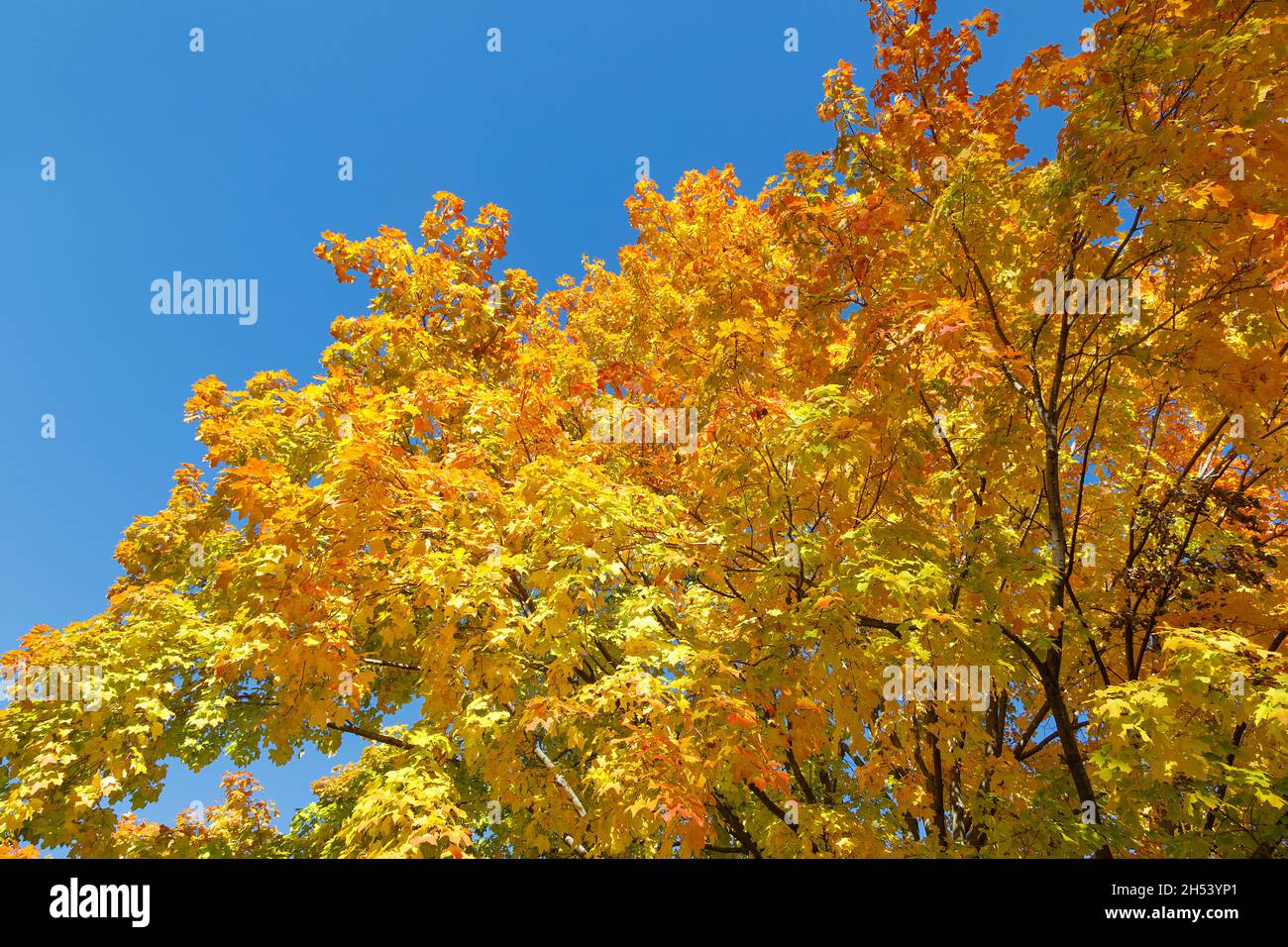 Burlington county park hi-res stock photography and images - Alamy