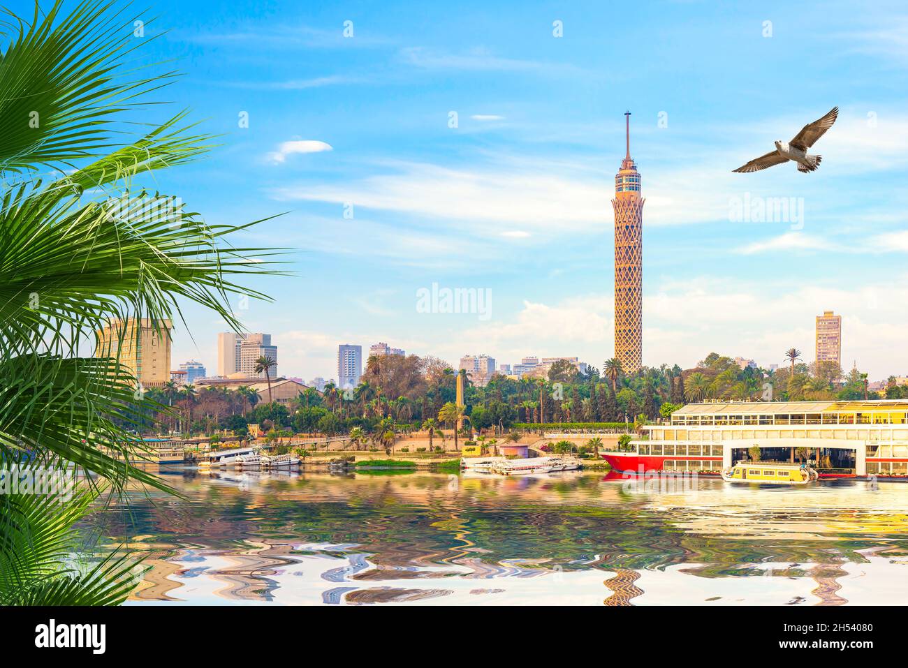 Egypt cairo modern city office hi-res stock photography and images - Alamy
