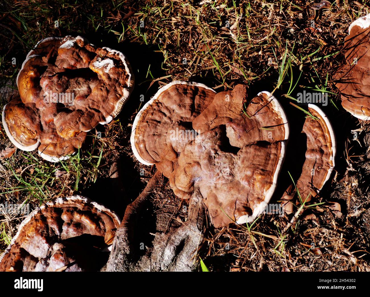 Beverly Hills, California, USA 10th September 2021 A general view of ...