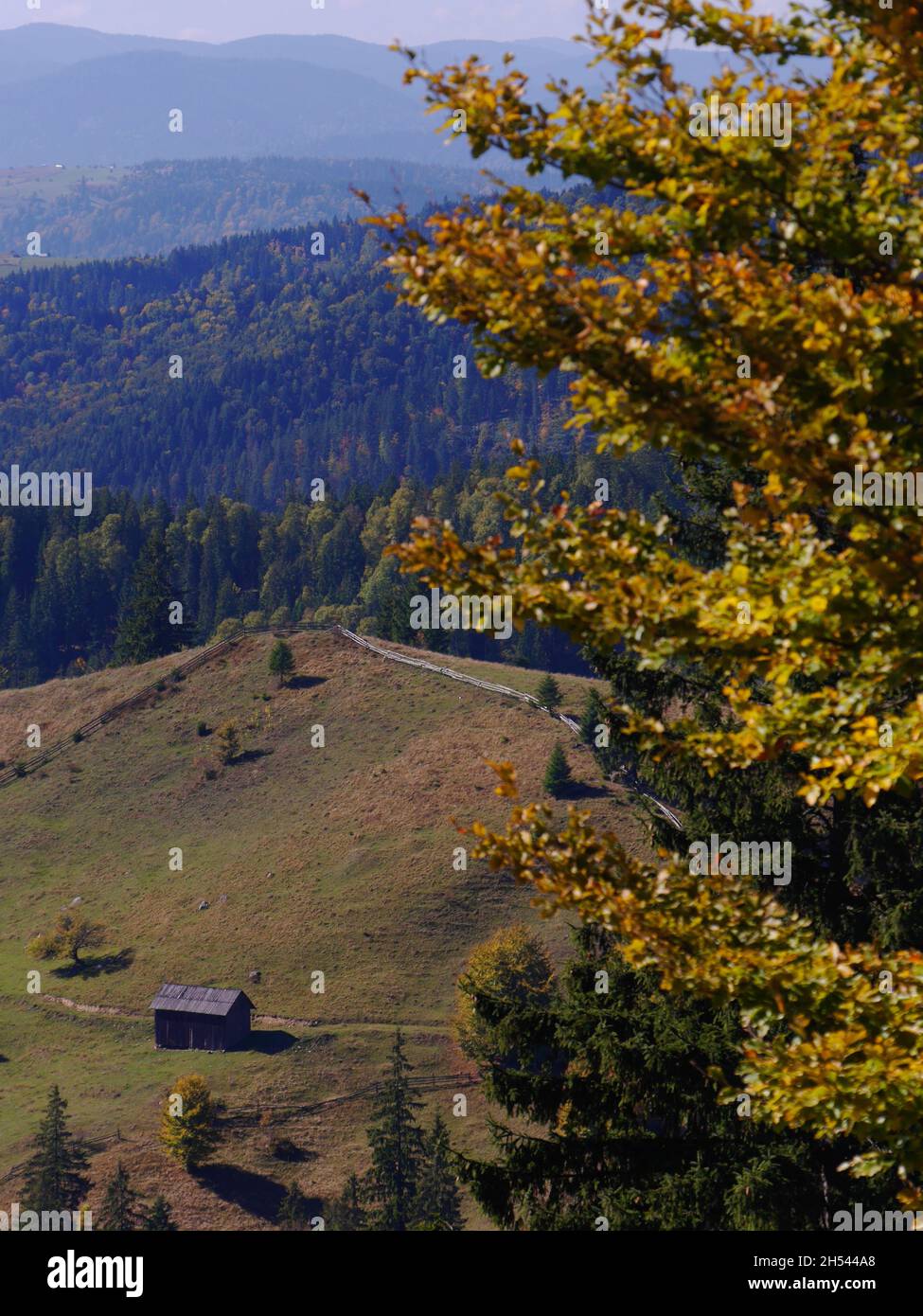 View from la Palma monument, Carpathian mountains, Bucovina, Romania ...