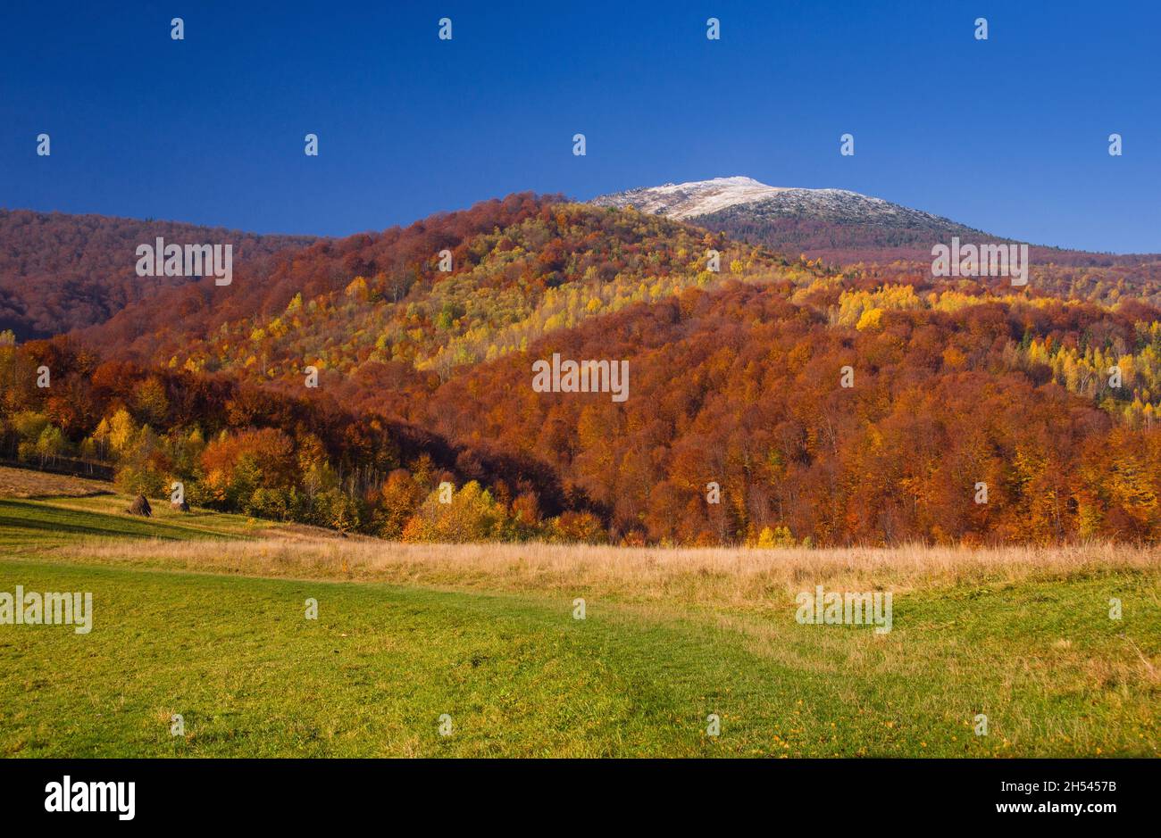 View of hills of Water Dividing ridge covered in red, orange and yellow ...