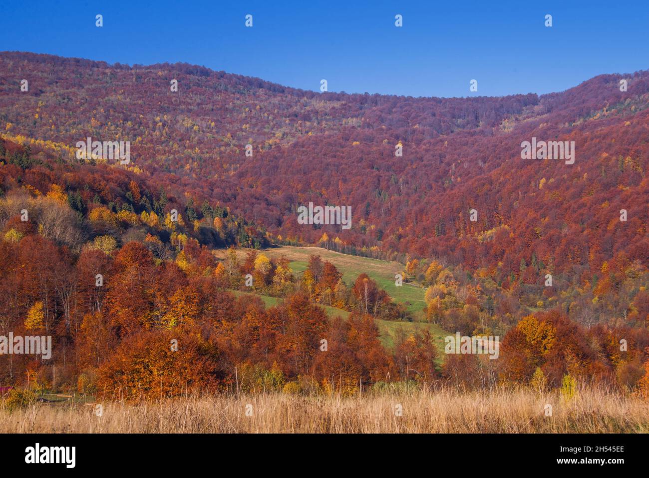 View of hills of Water Dividing ridge covered in red, orange and yellow ...