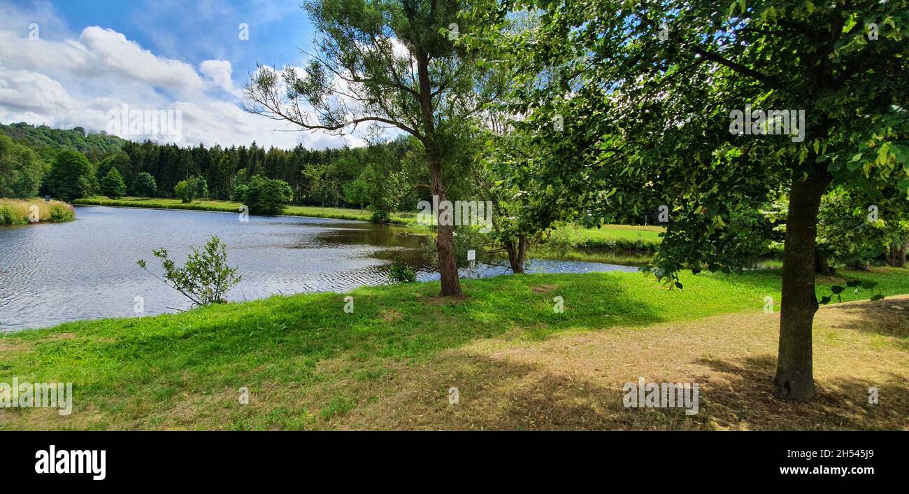 Beautiful view of the landscape with the river near the forest and ...