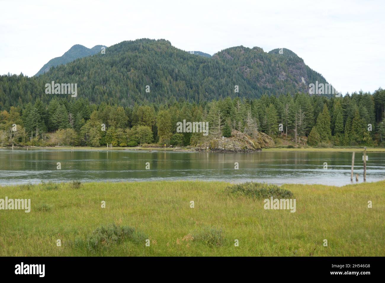 The Coast Mountains and forest along the Pitt River and Widgeon Marsh ...