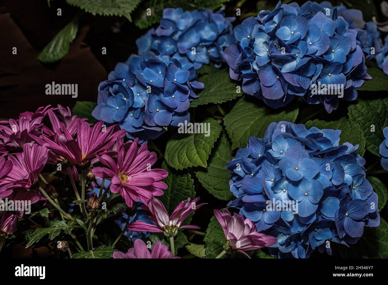 Pretty pink flowers and blue hydrangea blossoms; Easter decorations for ...