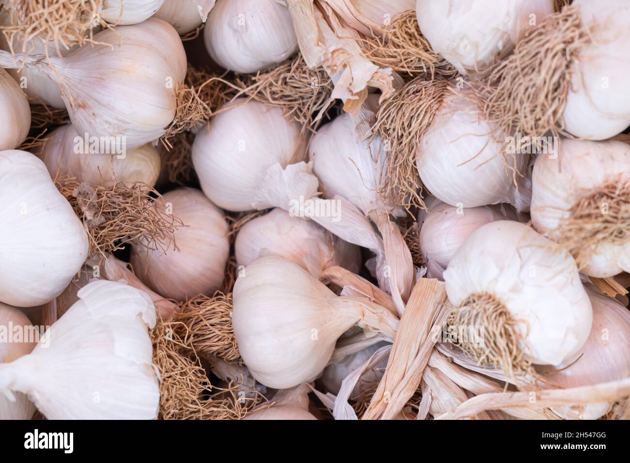 Garlic market stand hi-res stock photography and images - Alamy