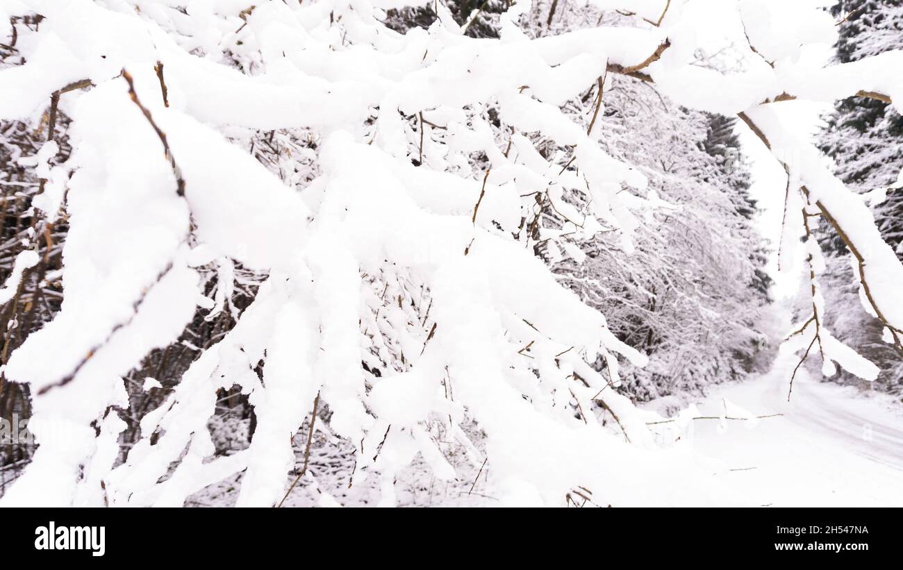 Precipit environment hi-res stock photography and images - Alamy