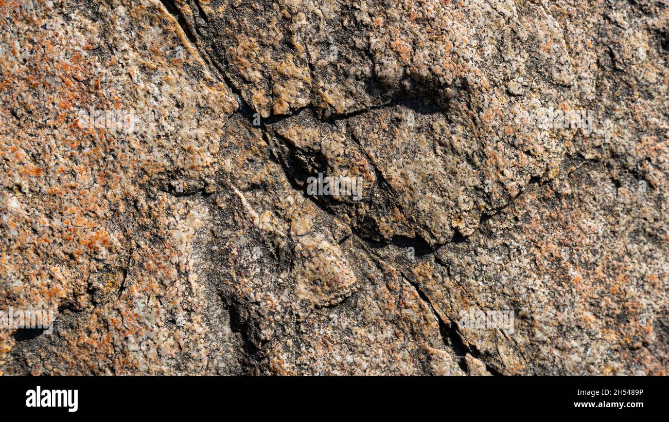 Texture of granite rock. Cracked stone surface from weathering. Close ...