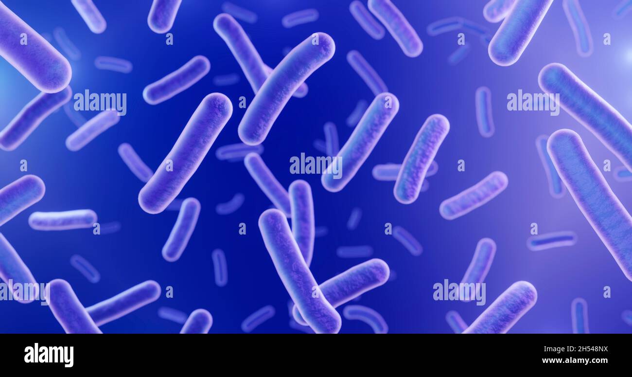Mycobacteria hi-res stock photography and images - Alamy