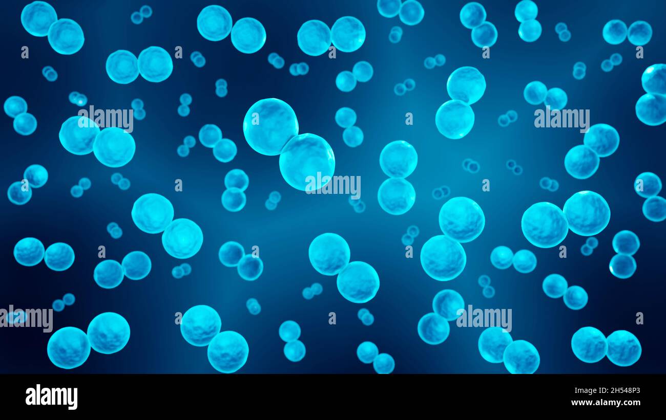 Streptococcus pneumoniae bacteria, illustration Stock Photo - Alamy