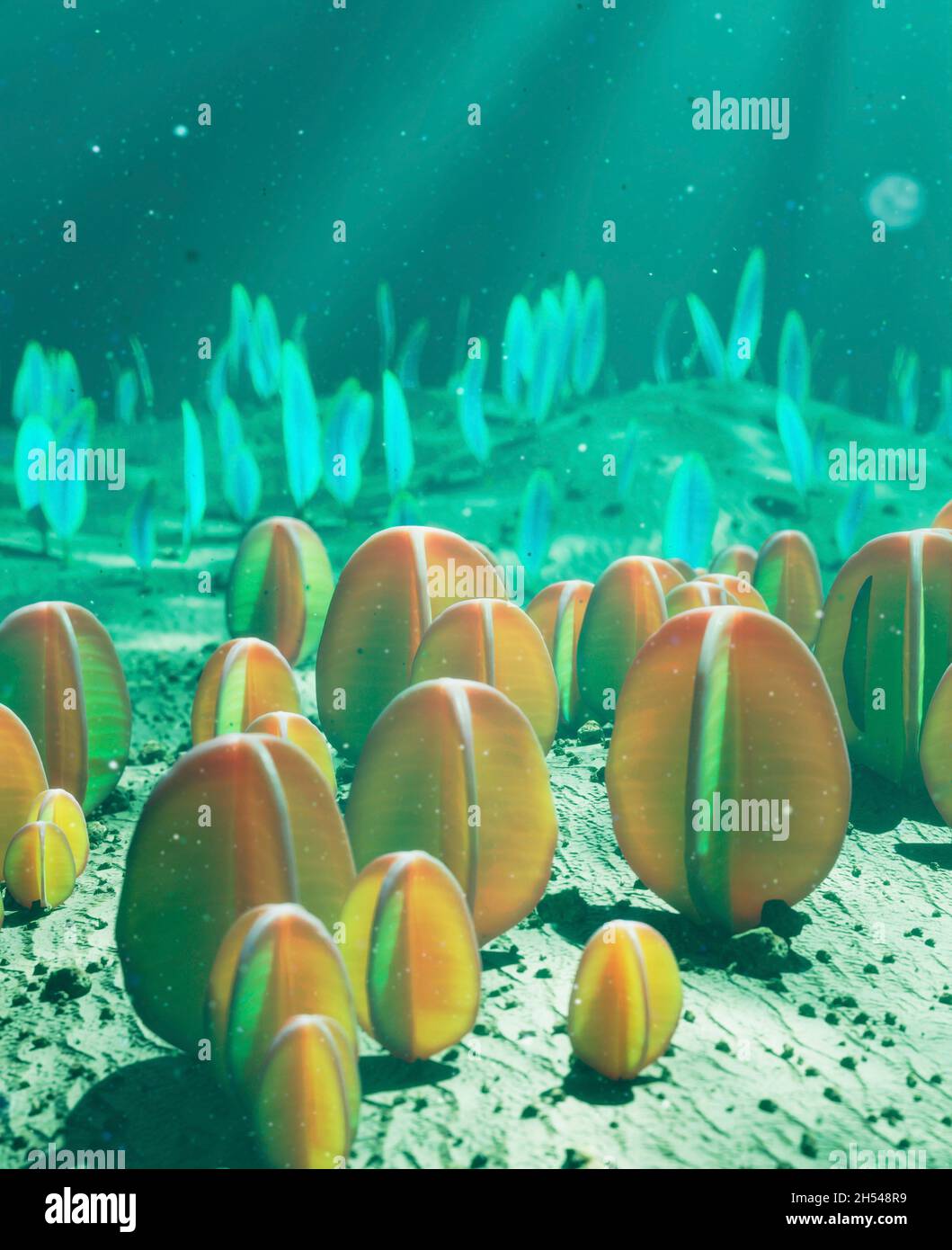 Ediacaran period fossil hi-res stock photography and images - Alamy