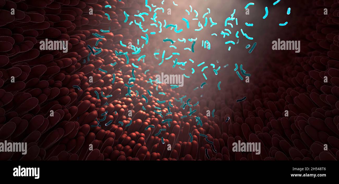 Bacteria as part of the microbiome, illustration Stock Photo - Alamy