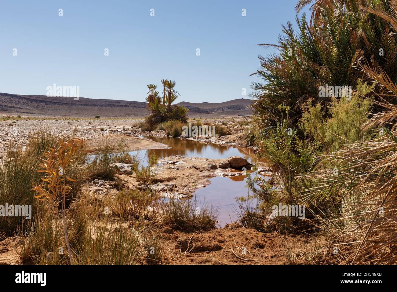 Sahara desert lake village hi-res stock photography and images - Alamy