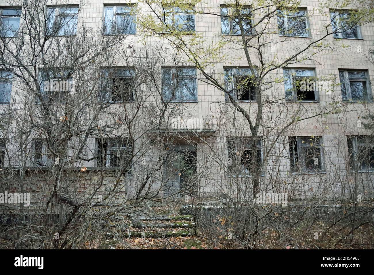 Overgrown ruins of Pripyat Hospital in the Chernobyl Exclusion Zone ...