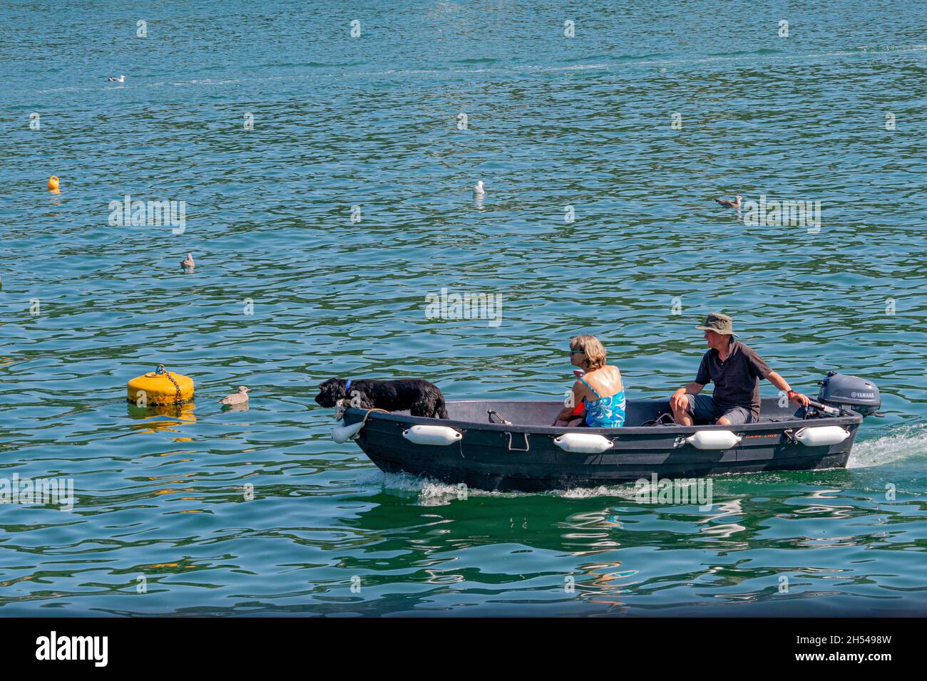 A couple and their dog in an inflatable boat on the River Fowey ...