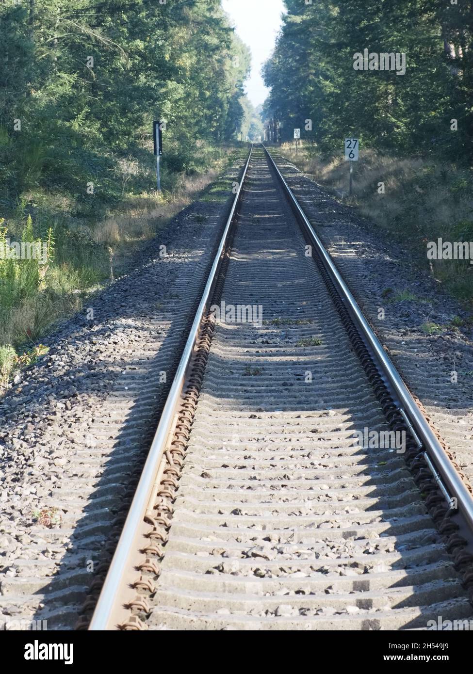 Flipped vertical shot of a railroad surrounded by plants on a sunny day ...