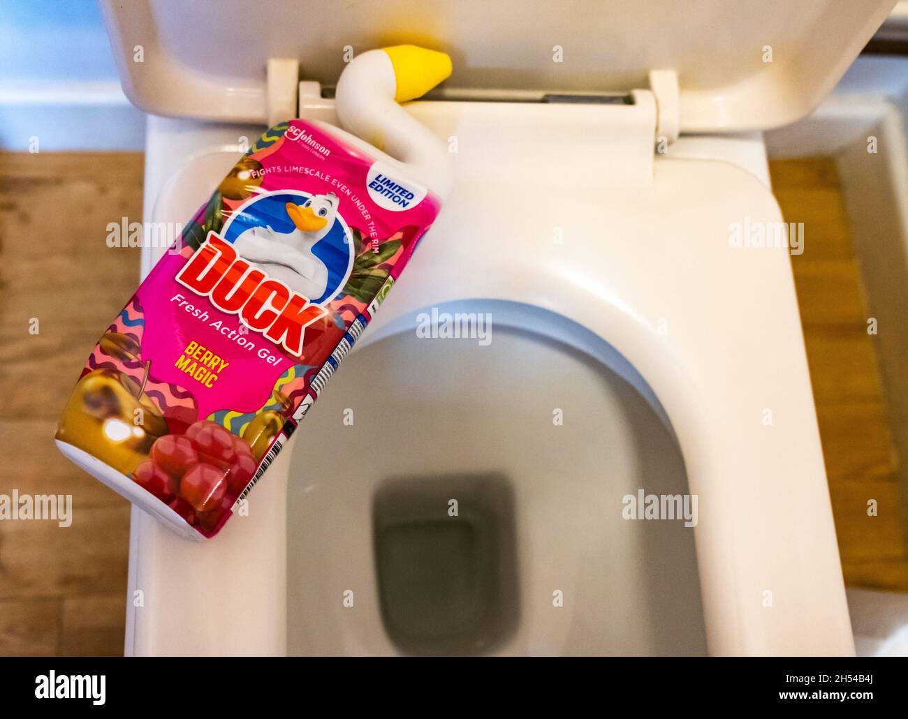 Toilet duck hi-res stock photography and images - Alamy