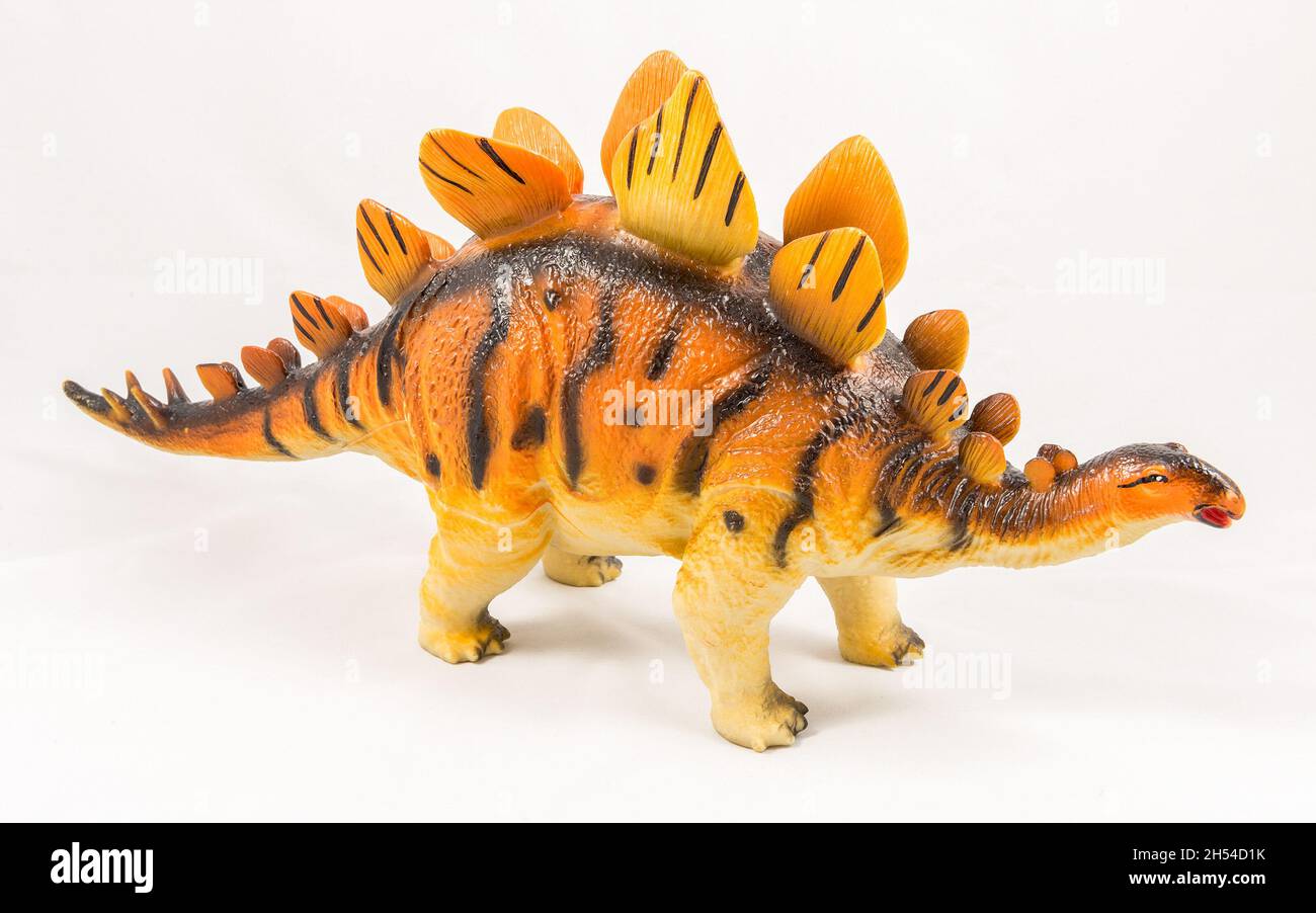 Stegosaurus dinosaur toy model, isolated on white background Stock ...