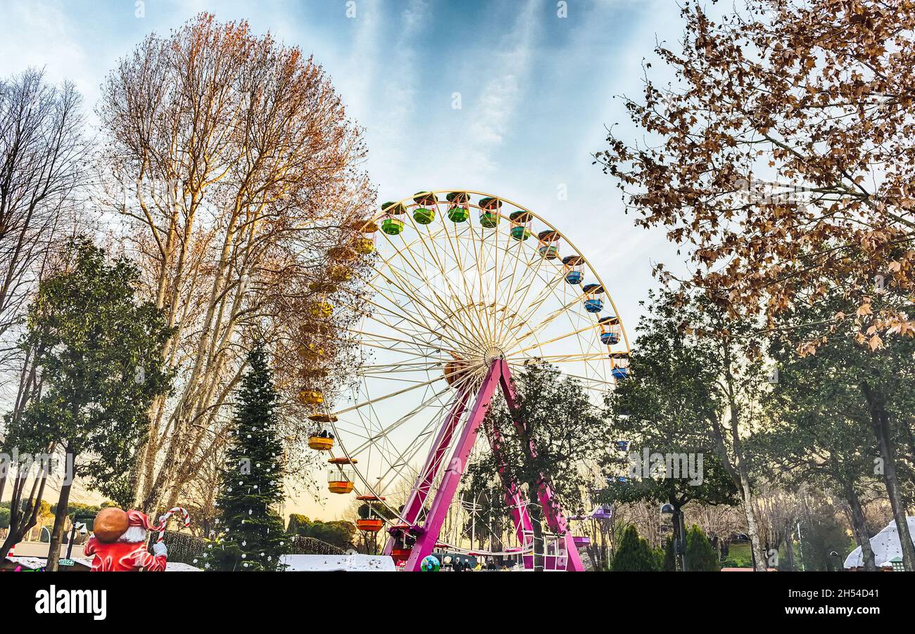 Ferris Wheel surrounded by trees inside an amusement park Stock Photo ...