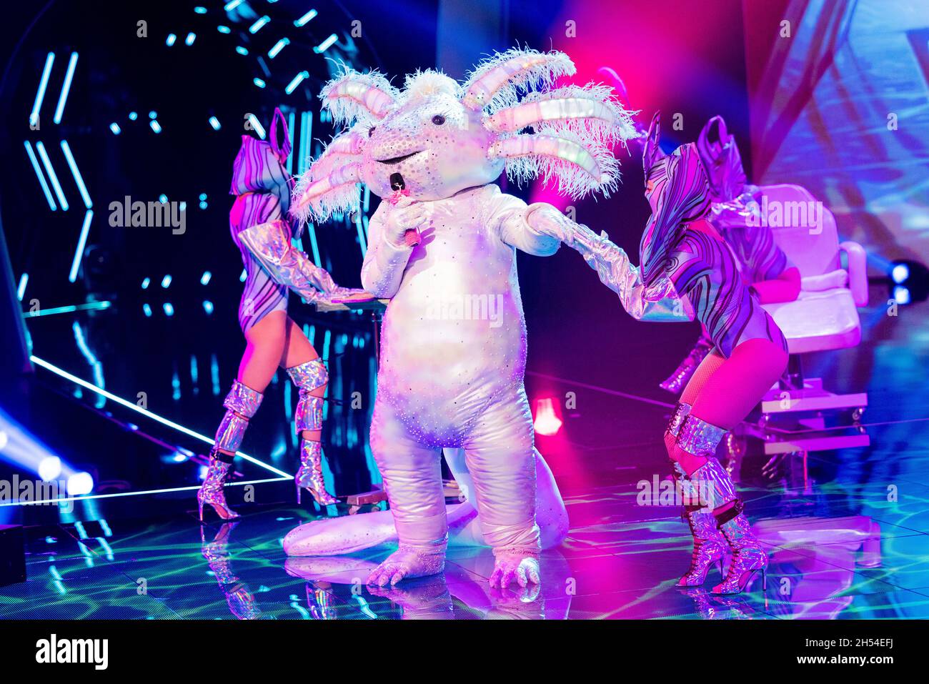 Cologne, Germany. 06th Nov, 2021. The character "The Axolotl" is on ...