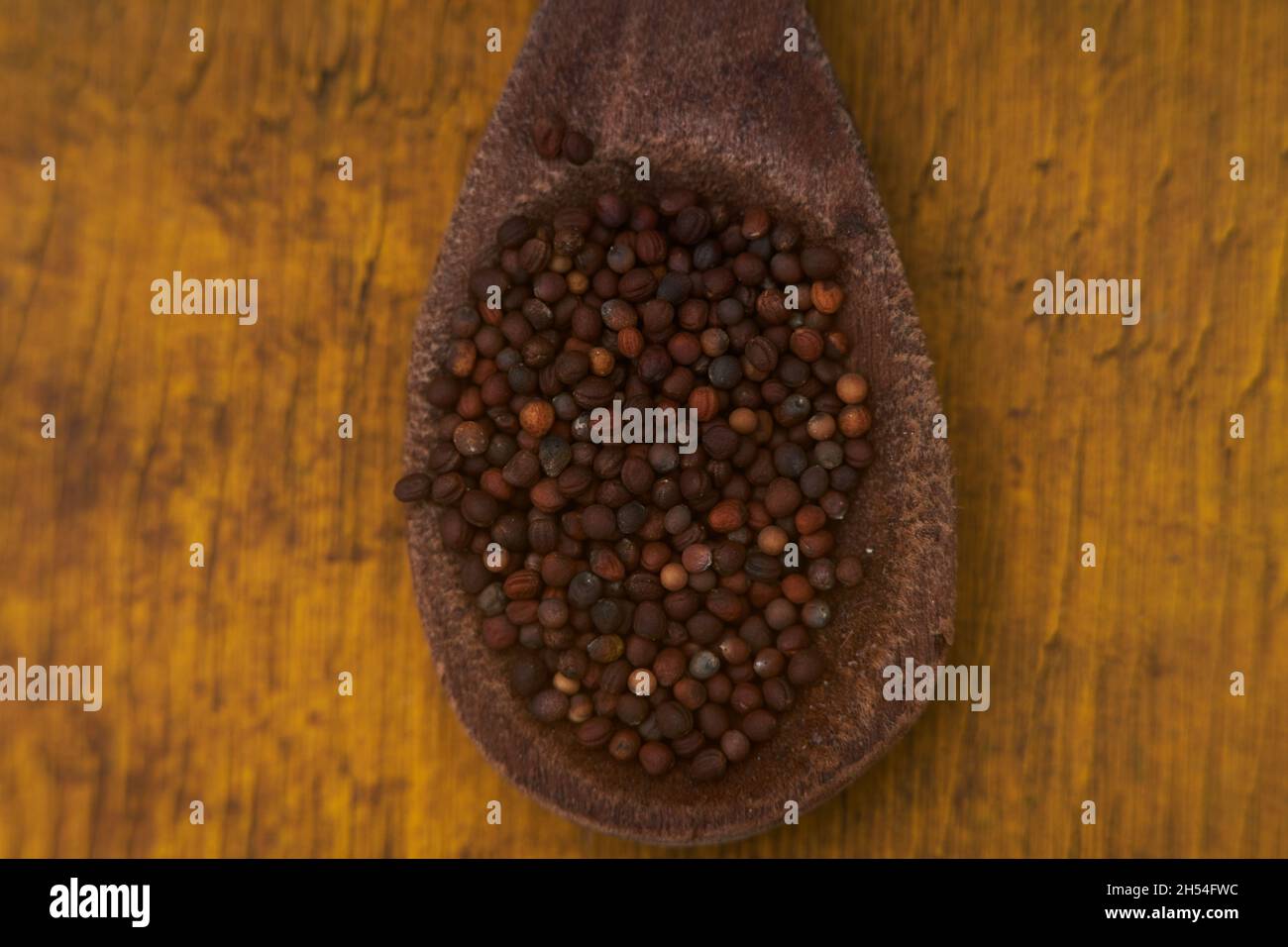 cabbage seeds close-up detail. edible plant species Stock Photo - Alamy