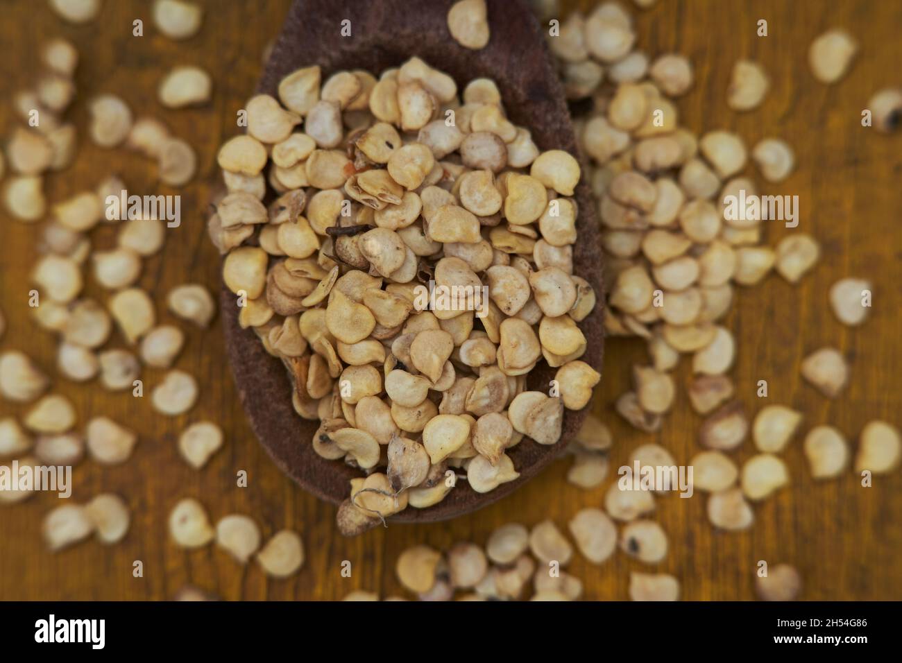 Sow chili seed hi-res stock photography and images - Alamy